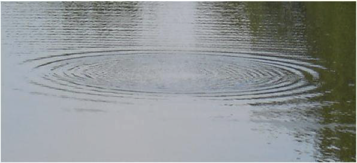 Vibrations and Waves