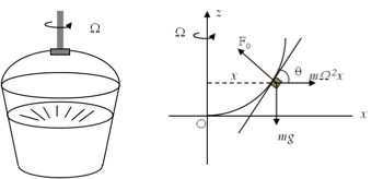 Physics in Earth's Frame